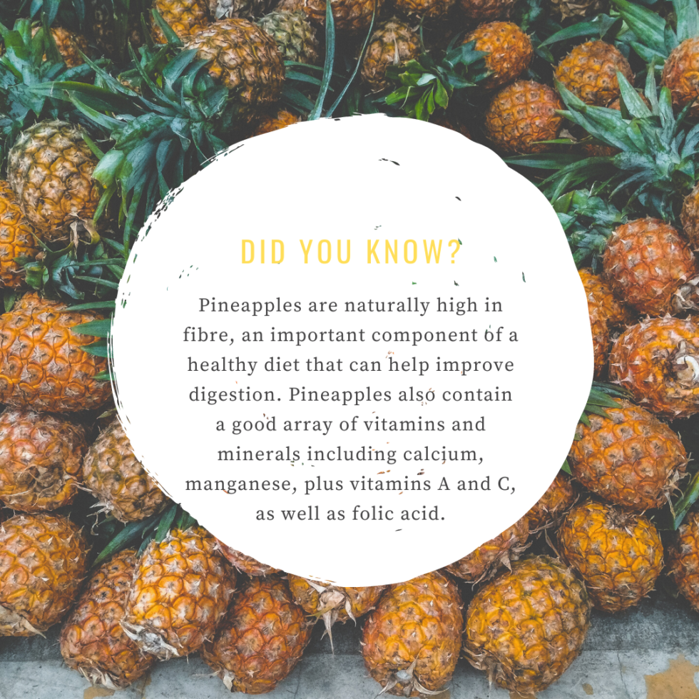 Home - Su Jus Bar Cafe