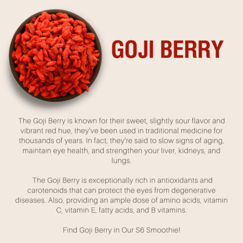 Home - Su Jus Bar Cafe